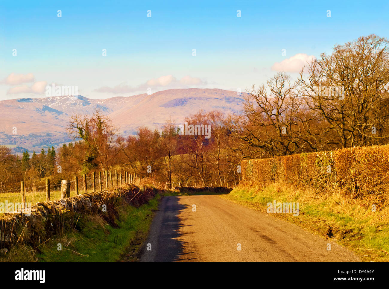 Scottish rural road hi-res stock photography and images - Alamy