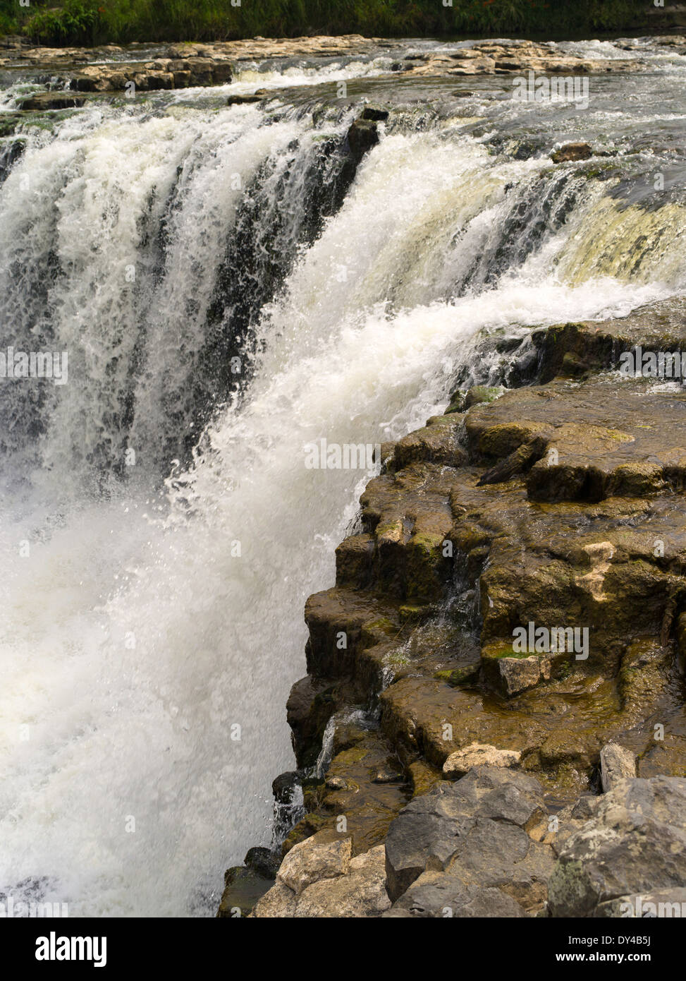 Closeup view of Haruru Falls, near Paihia, Northland, New Zealand Stock Photo - Alamy
