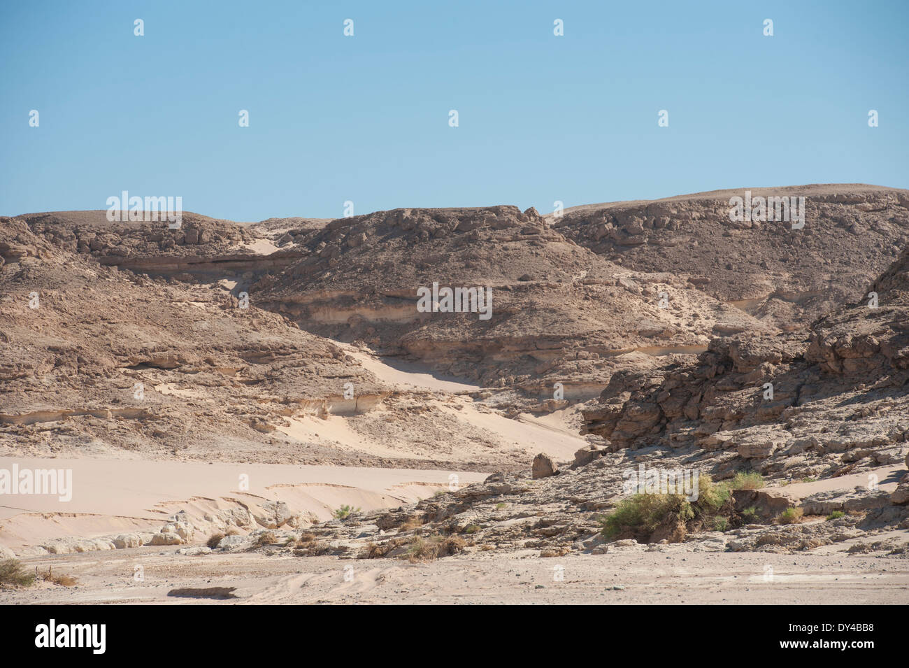 Dry wadi river valley through a rocky desert environment Stock Photo ...