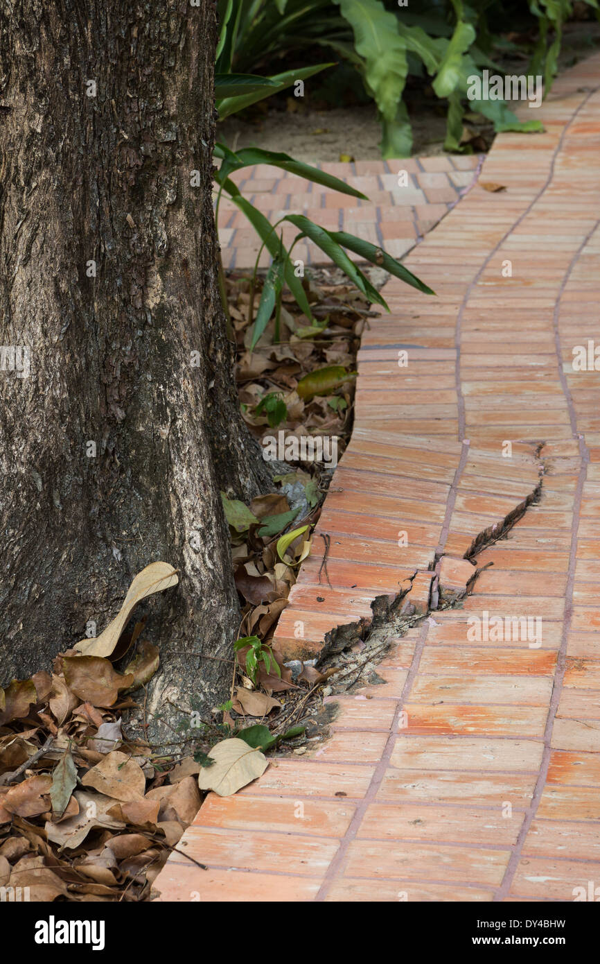 Footpath tiles hi-res stock photography and images - Alamy