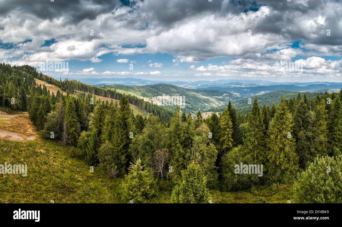 Outlook forest hi-res stock photography and images - Alamy