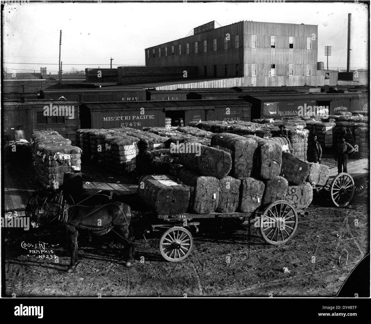 This photograph shows repair work being done to the Old Capitol ...