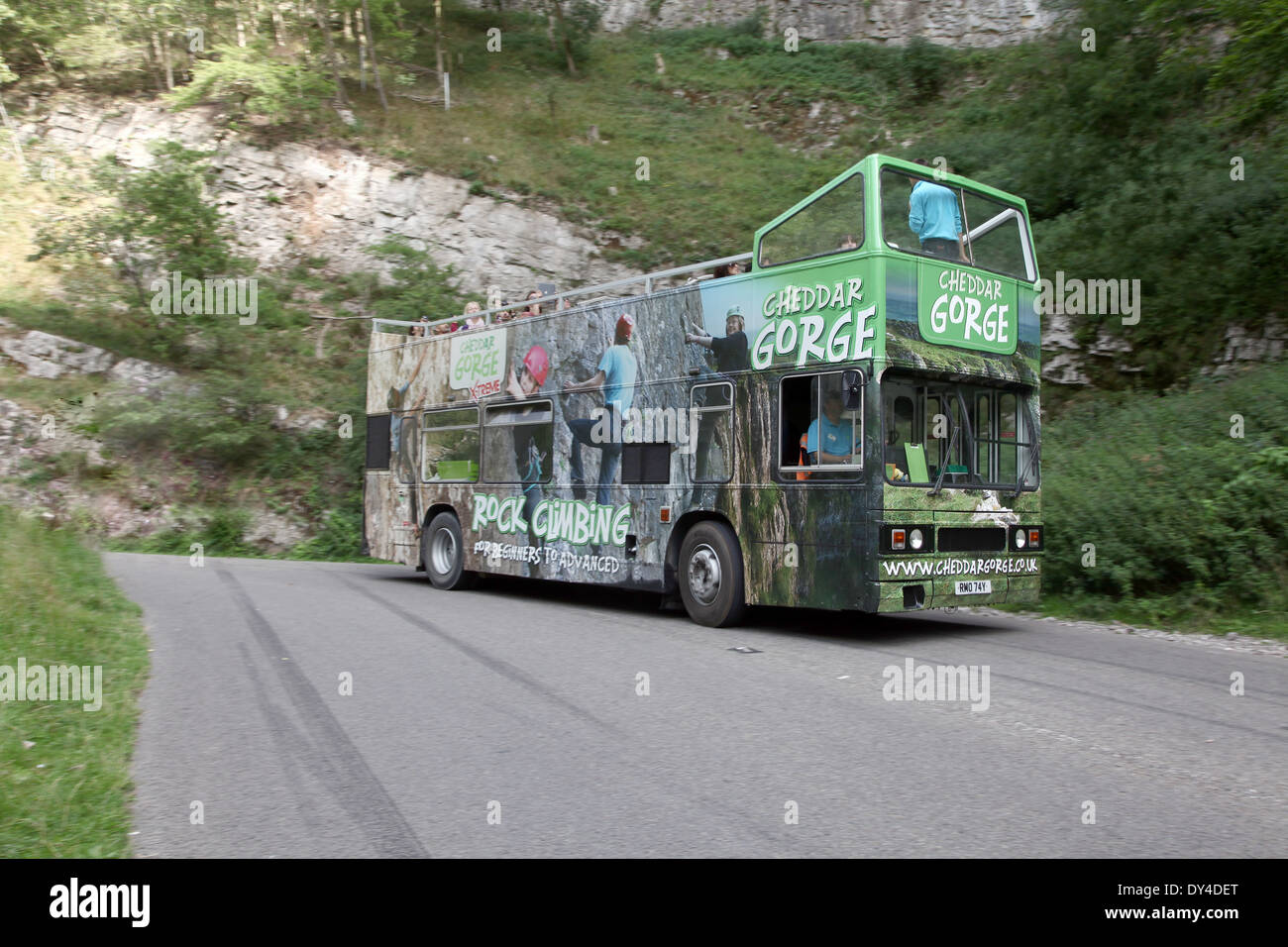 Cheddar Gorge tourist open top bus driving the gorge with passengers ...