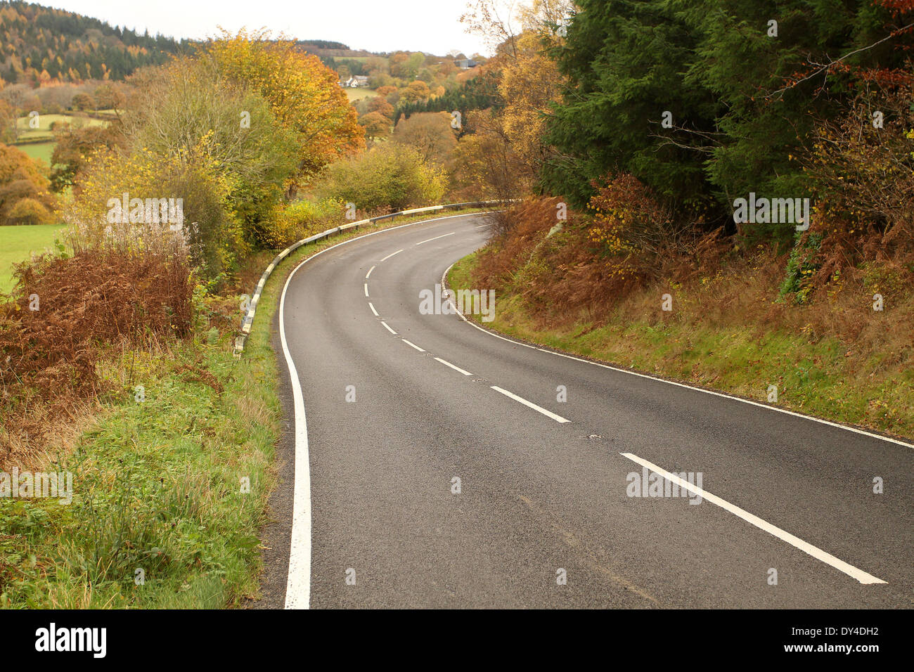 November colour colours color colors hi-res stock photography and ...
