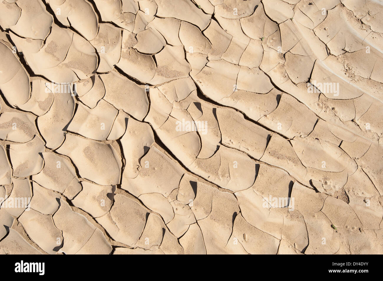 Sandy Desert Ground Footsteps At The Desert Oasis Ground Sand Photo