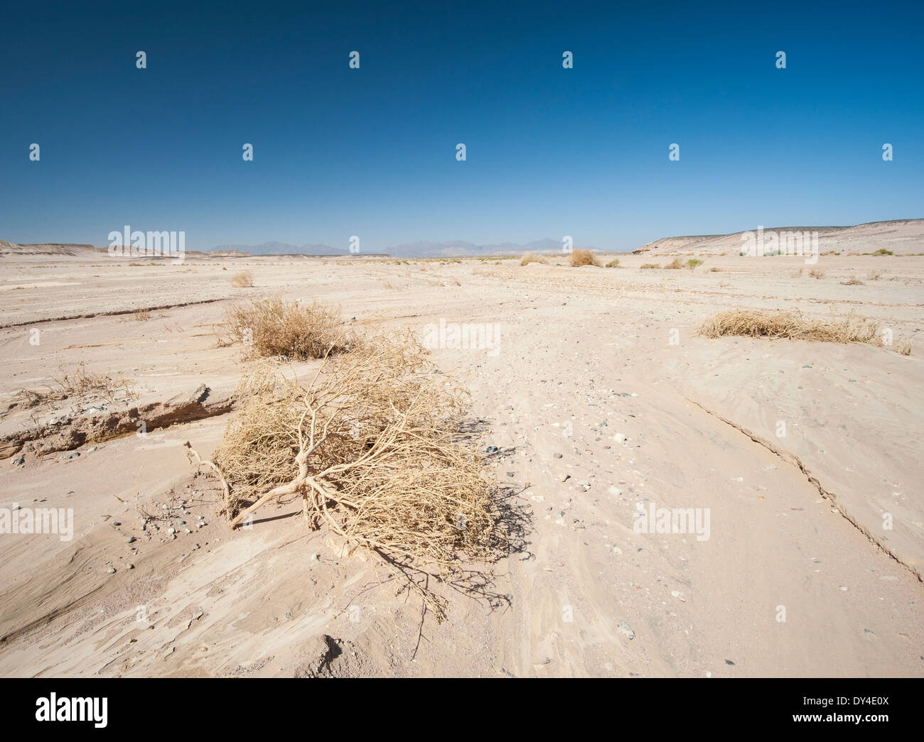 Landscape scenic view of desolate barren eastern desert in Egypt Stock ...