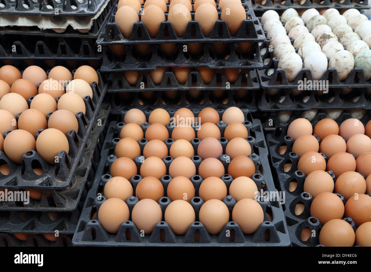 Egg trays hi-res stock photography and images - Alamy