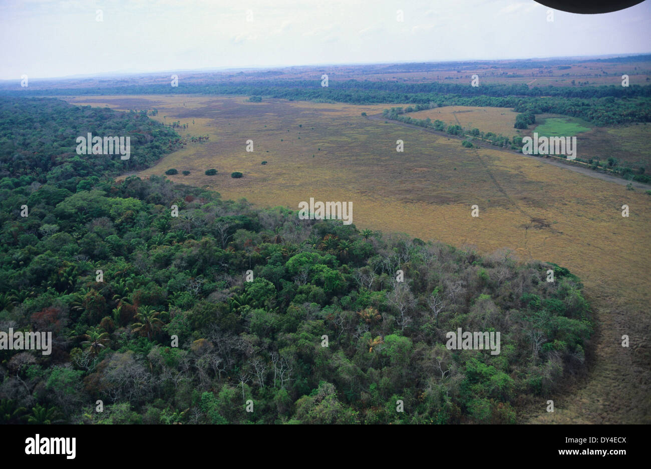 Amazon rainforest deforestation aerial hi-res stock photography and ...