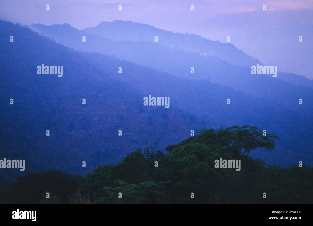 Aerial view, storm over primary tropical rainforest, Amazon, Brazil ...