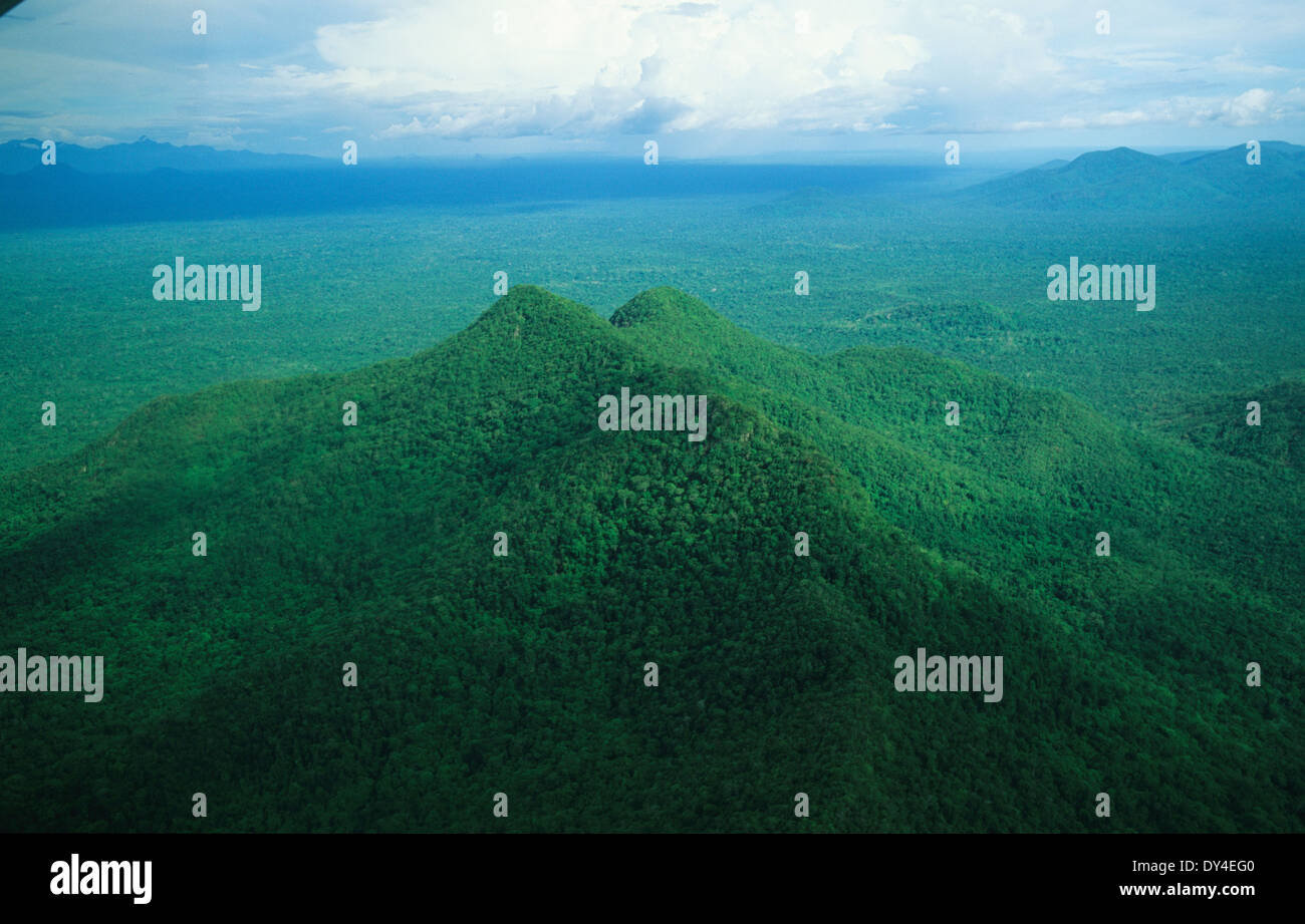 Aerial view, Primary tropical rainforest, pristine canopy, Amazon ...
