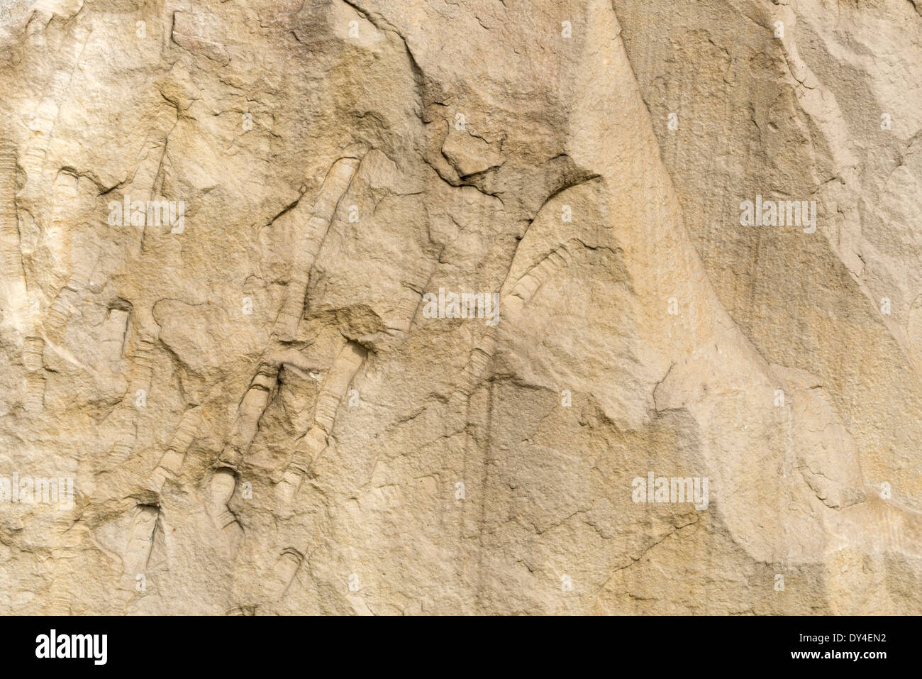 Sandstone block texture hi-res stock photography and images - Alamy