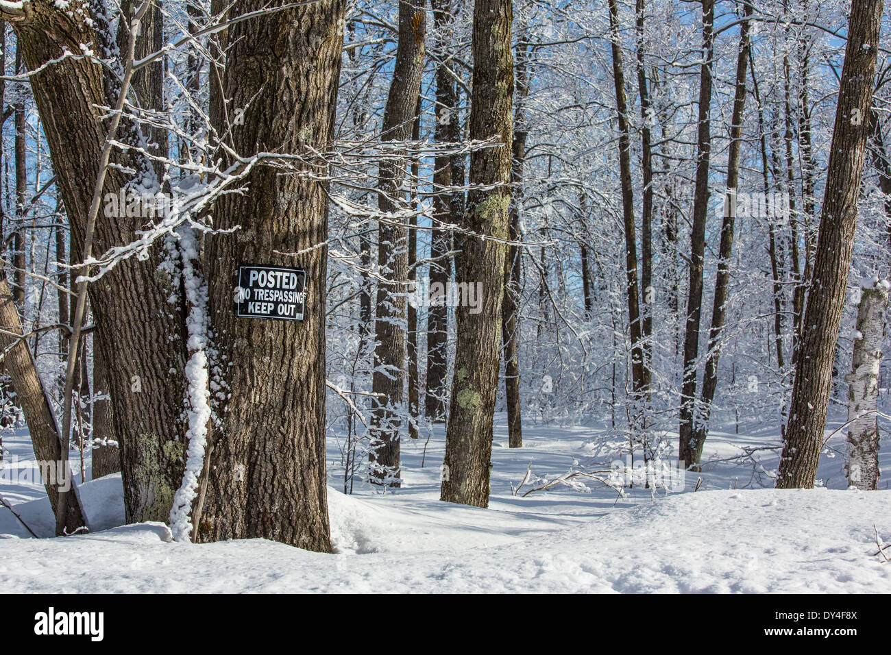No trespassing sign woods hi-res stock photography and images - Alamy