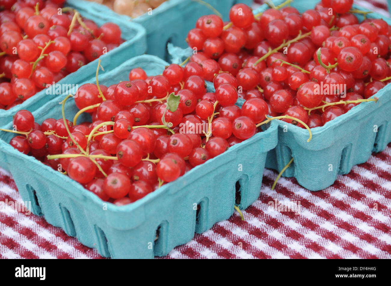 Bunch of red currents hi-res stock photography and images - Alamy