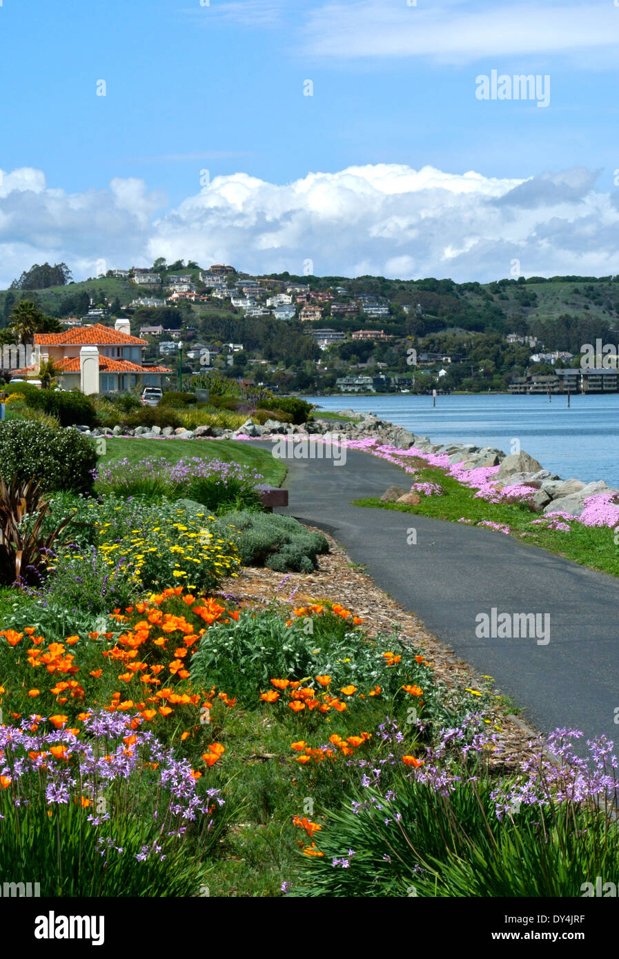 Multi path hi-res stock photography and images - Alamy