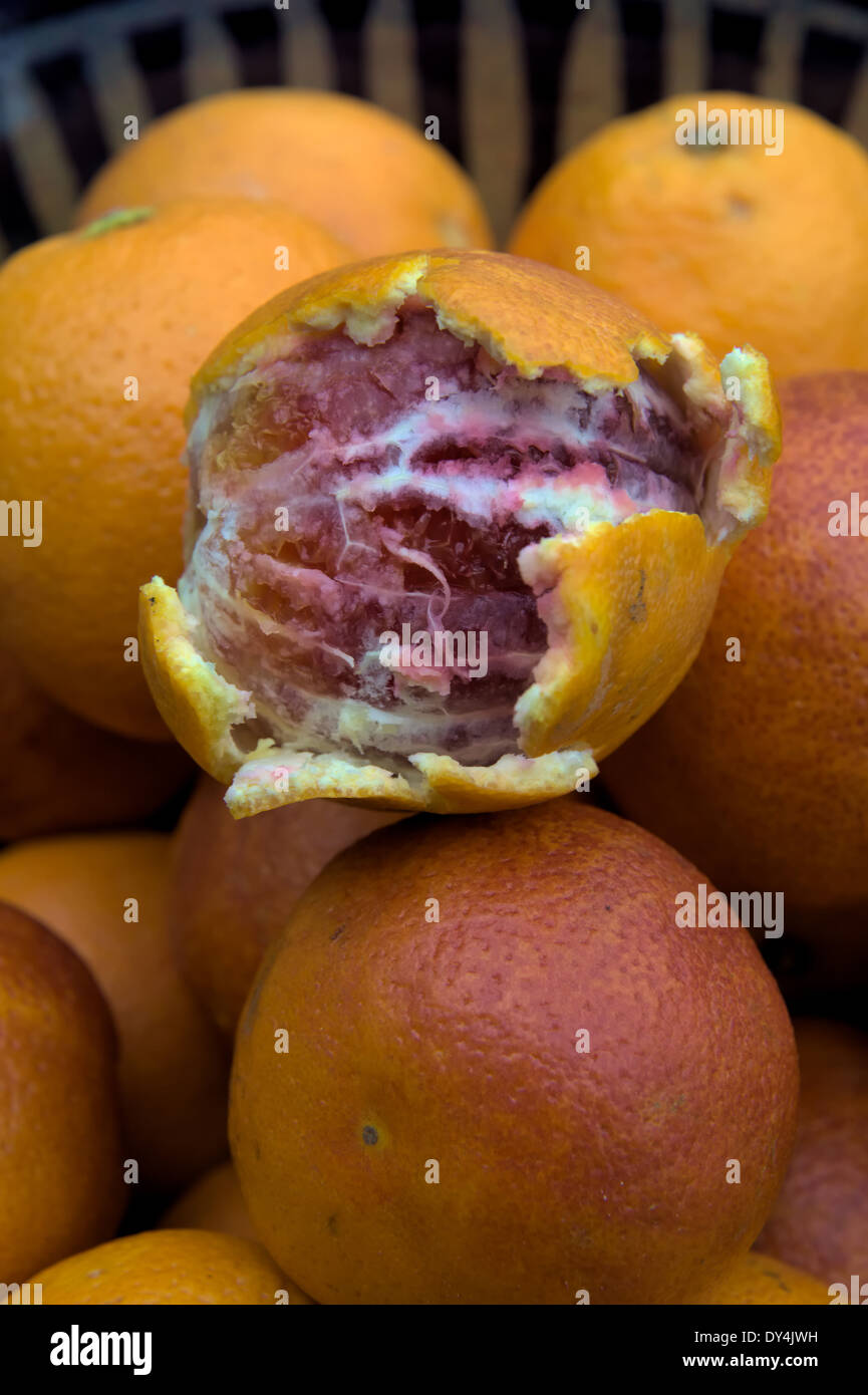 Citrus x aurantium (Sweet Orange Group) 'Moro Blood' (F) - Sicilian ...