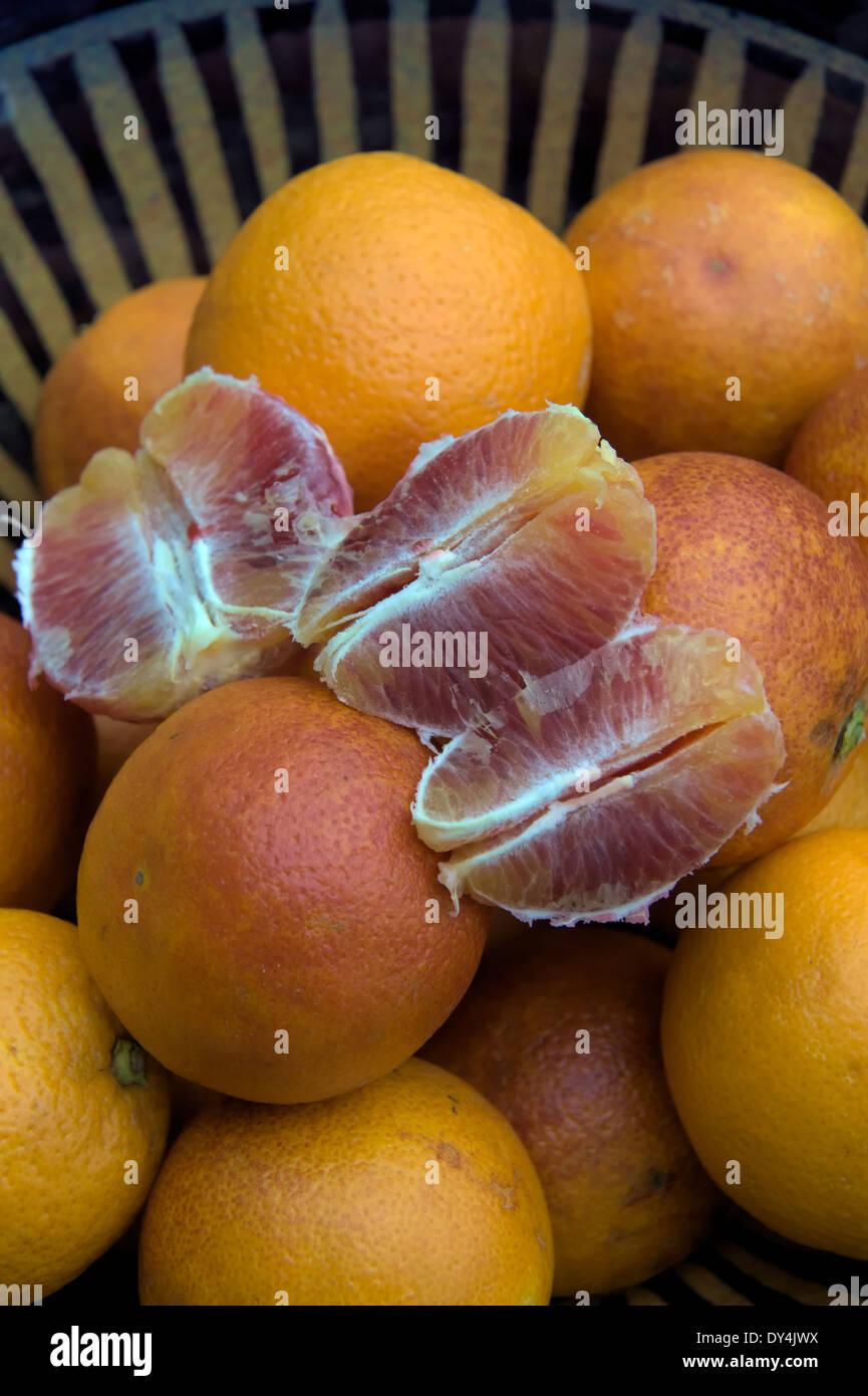 Citrus x aurantium (Sweet Orange Group) 'Moro Blood' (F) - Sicilian ...