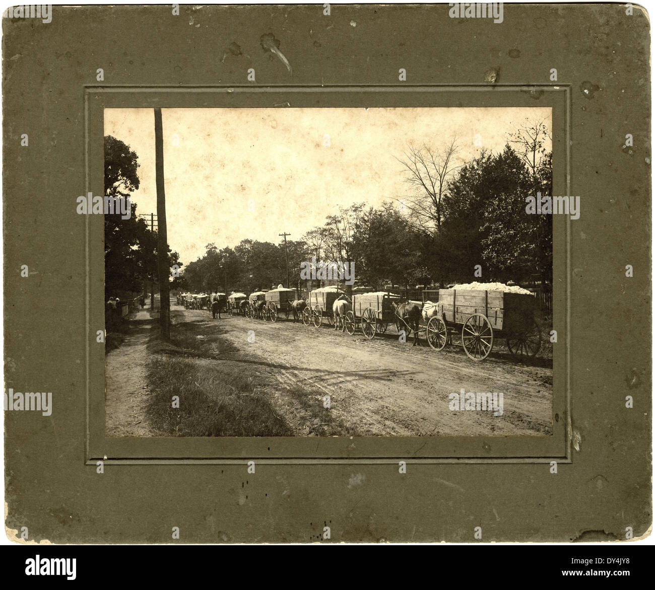 Photograph of cotton wagons used in the transportation of cotton ...