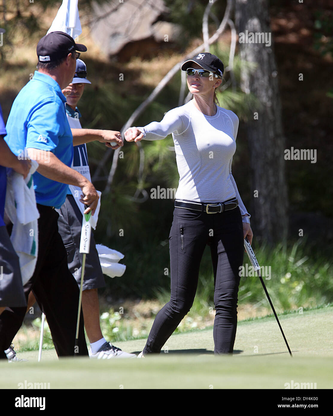 Las Vegas, Nevada, USA. 6th Apr, 2014. Janet Jones Gretzky participates ...