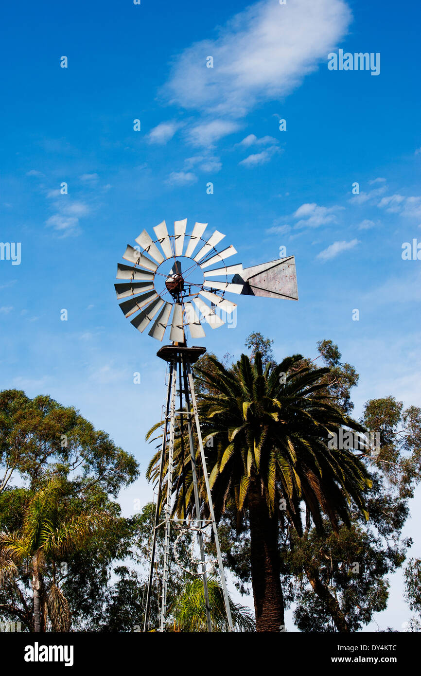 vintage windmill in California with palm trees in the background Stock ...