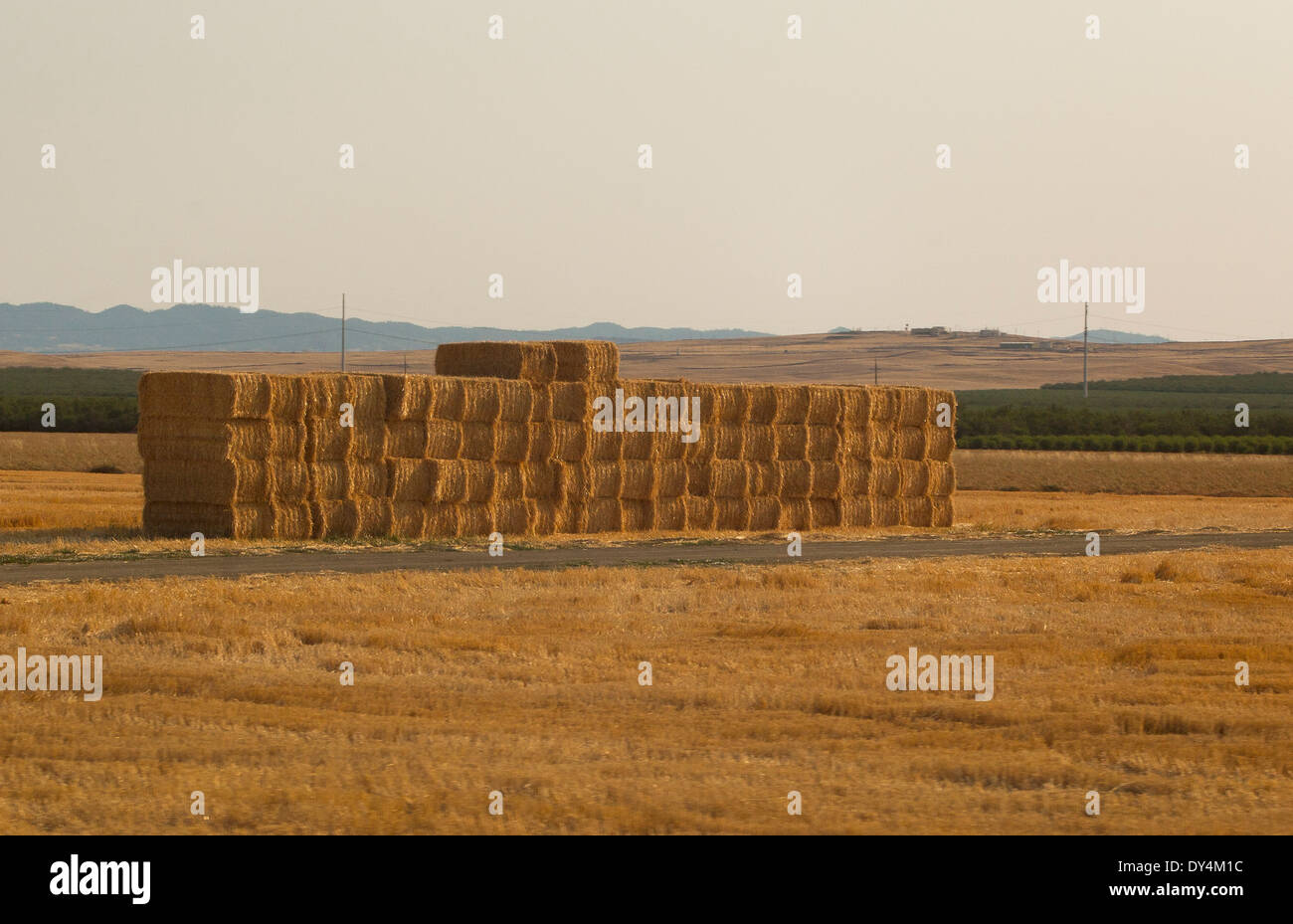 Hay fields hi-res stock photography and images - Alamy