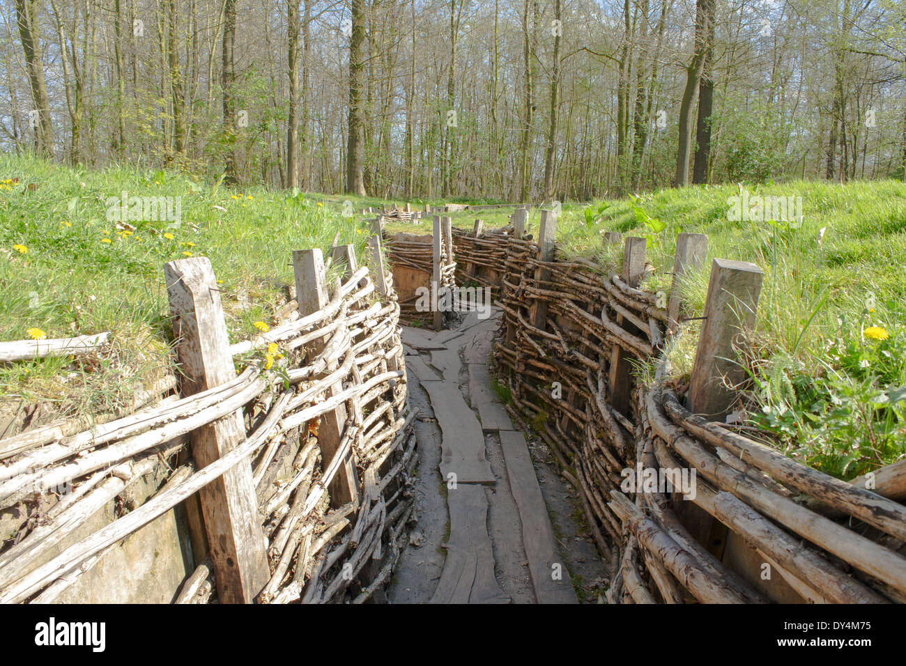 Bayernwald German Trenches great world war Flanders Belgium Stock Photo ...