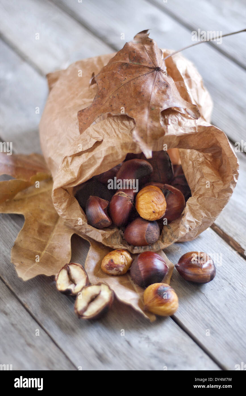 Chestnut bag hi-res stock photography and images - Alamy
