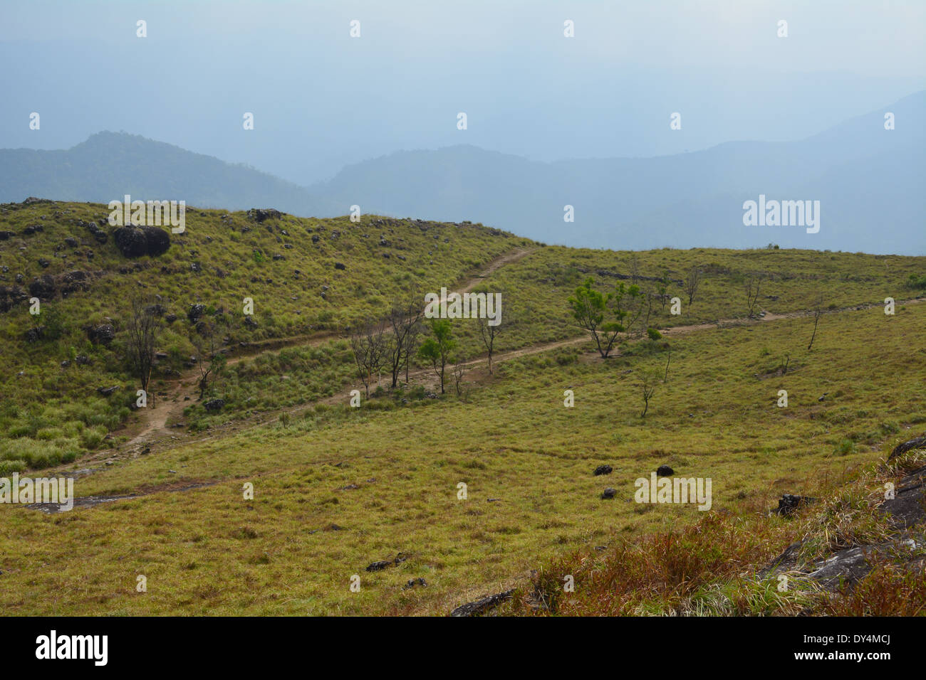 Two pathways diverging hi-res stock photography and images - Alamy