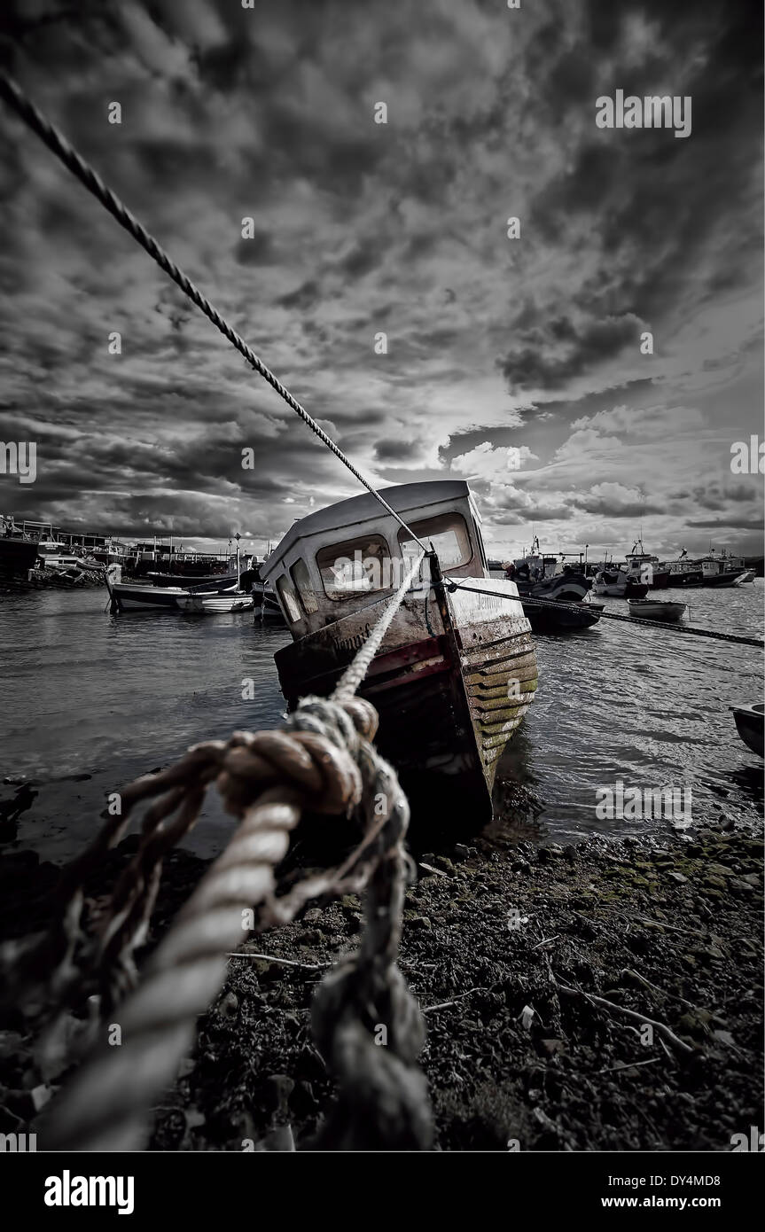 Pull me out Stock Photo - Alamy