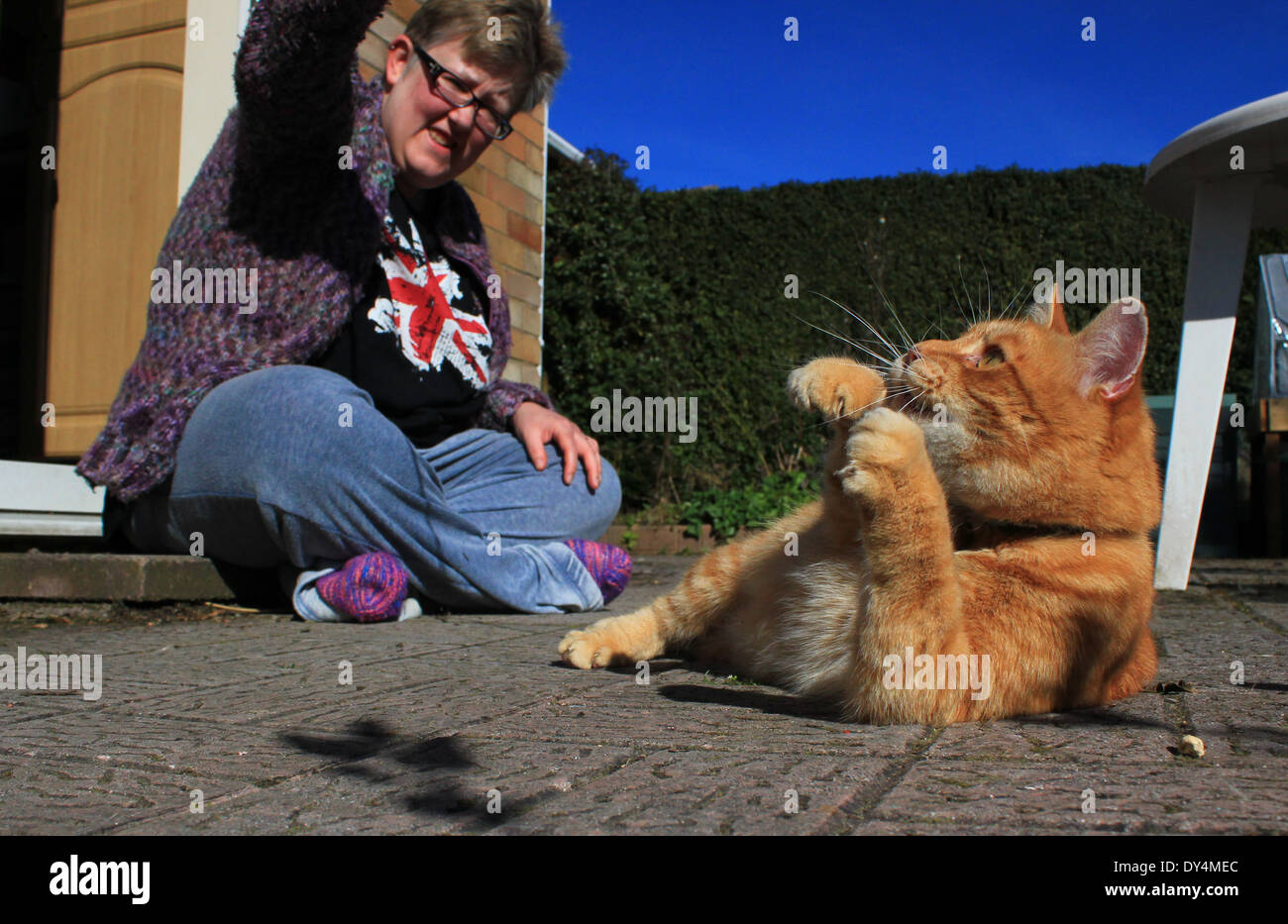 Ginger cat playing by owner's feet Stock Photo - Alamy