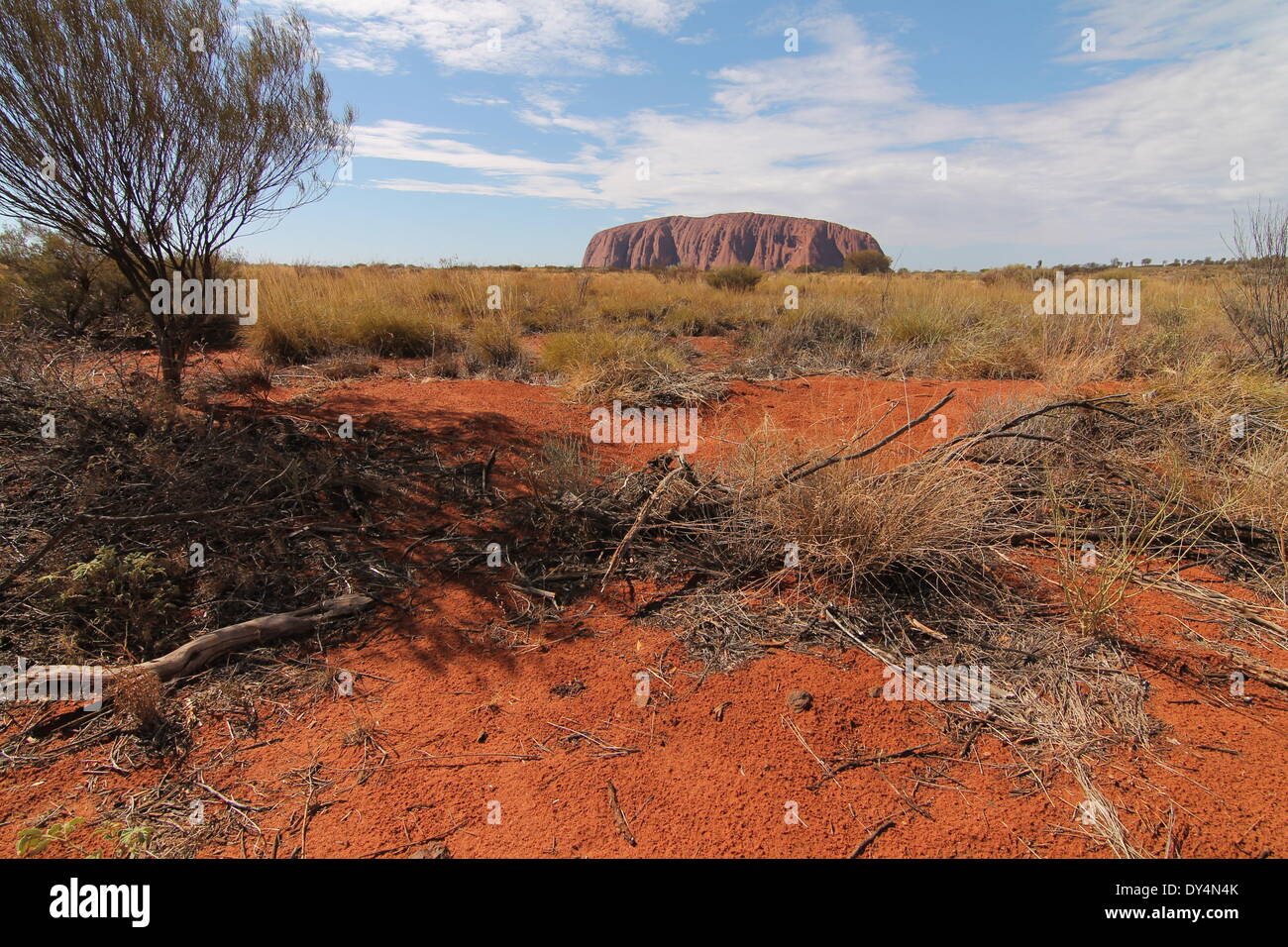 View of the monolith Uluru aka Ayers Rock in the Ulu?u-Kata Tjuta ...