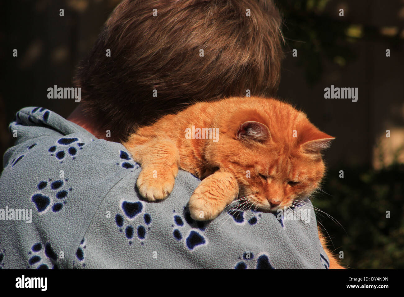 Cat on shoulder hi-res stock photography and images - Alamy