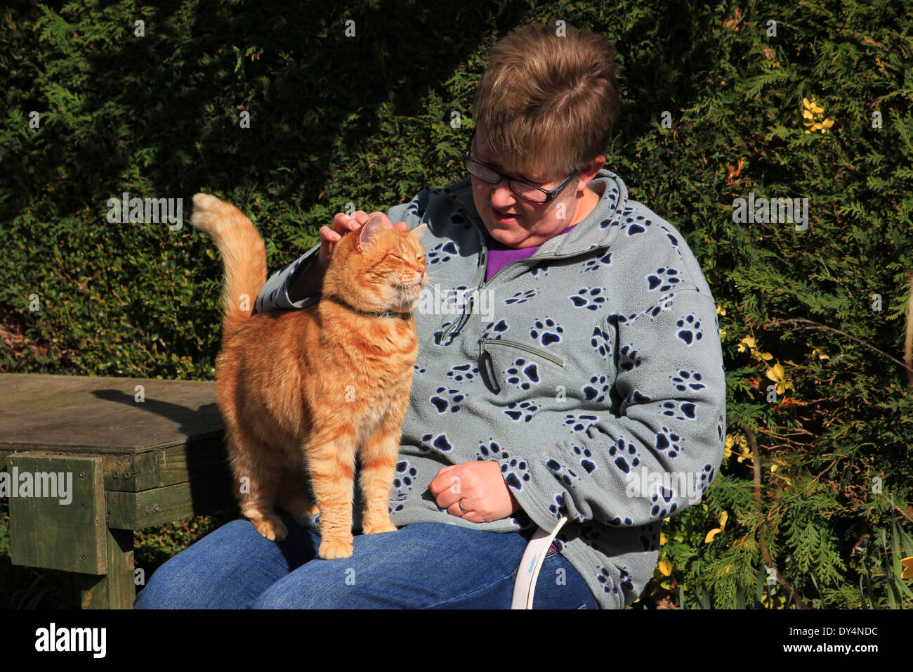 Cat sat in the garden hi-res stock photography and images - Alamy