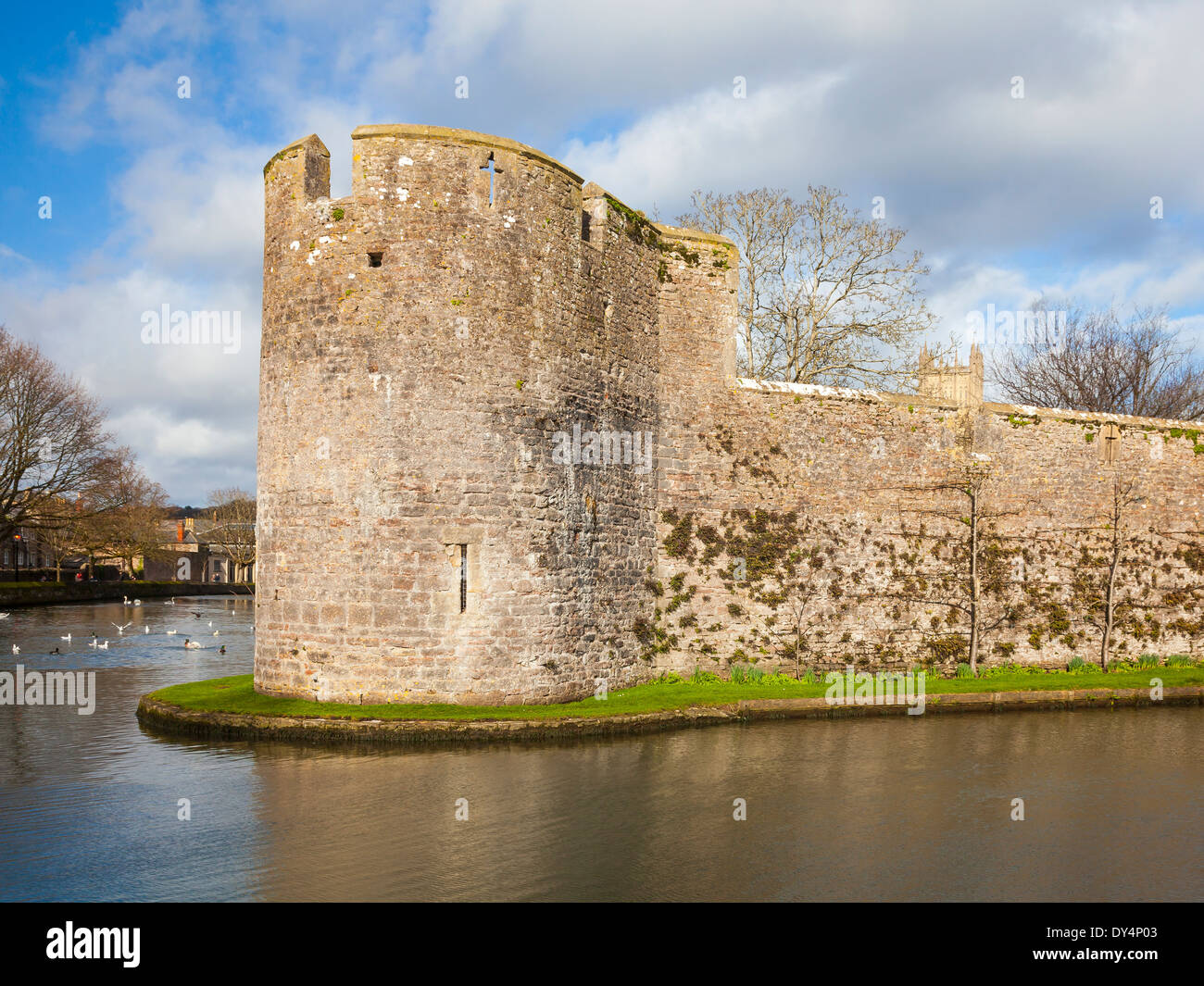 Moat of the Bishops Palace, Wells Somerset England UK Europe Stock ...