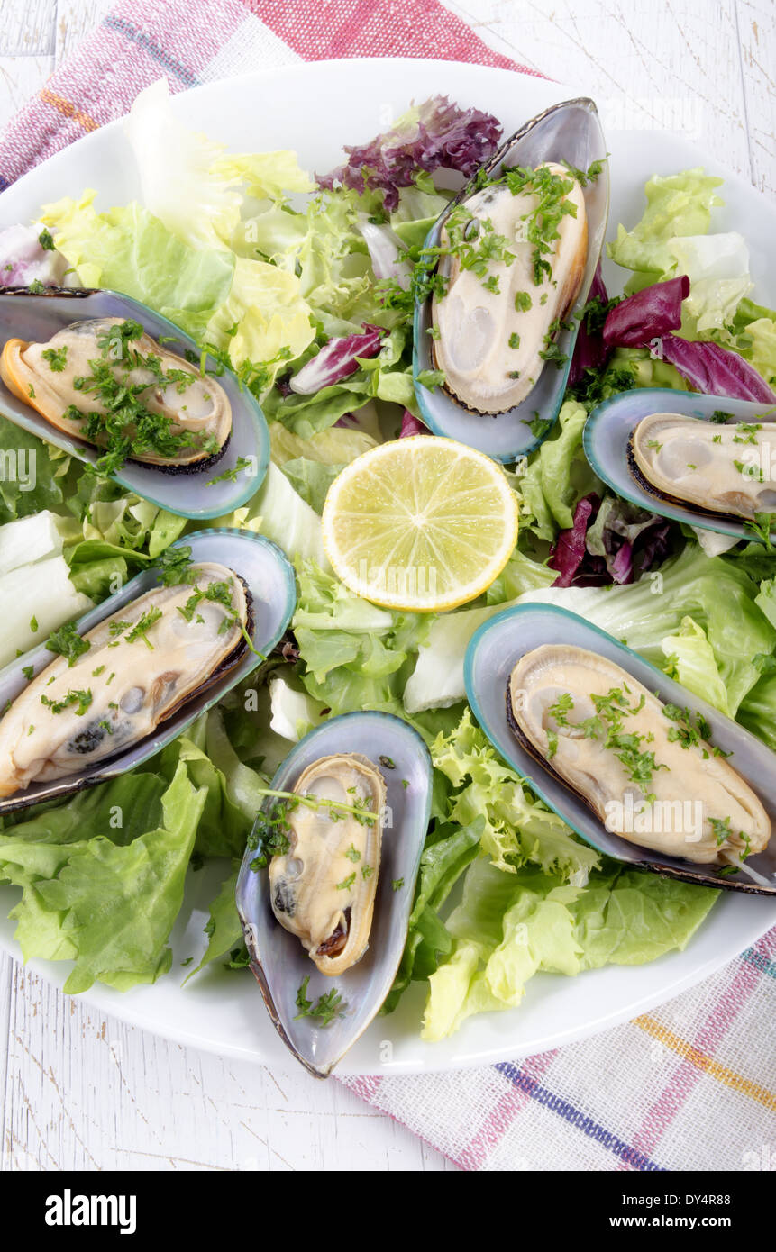 Greenshell mussels new zealand hi-res stock photography and images - Alamy