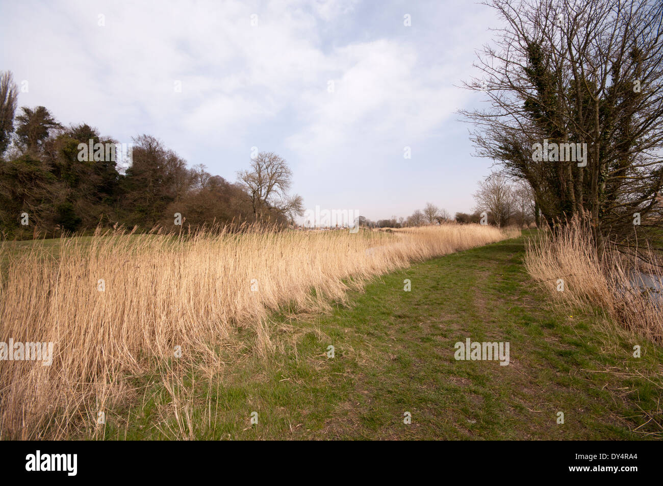 English country walk hi-res stock photography and images - Alamy
