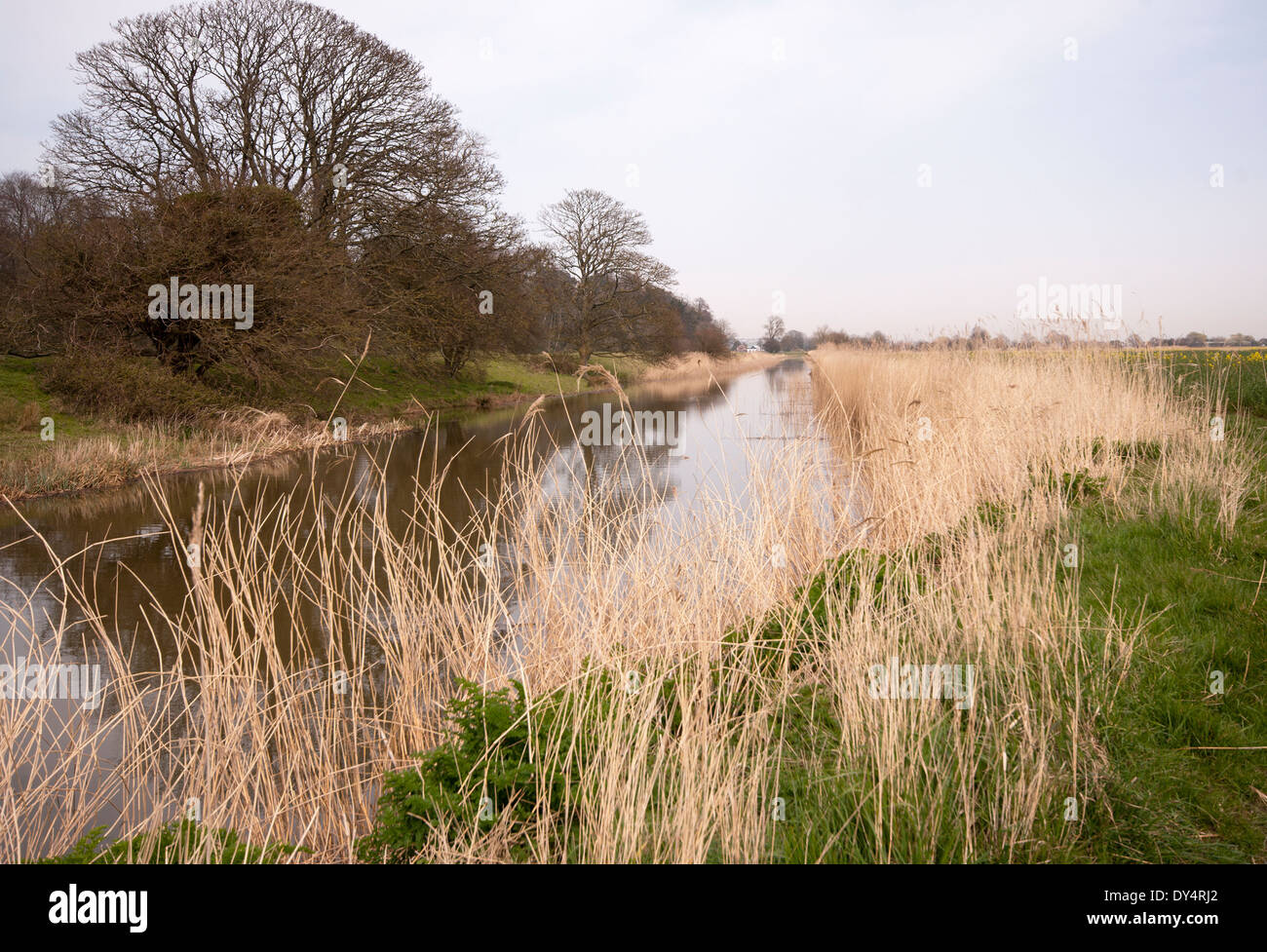 The Royal Military Canal at Winchelsea east Sussex England Stock Photo ...
