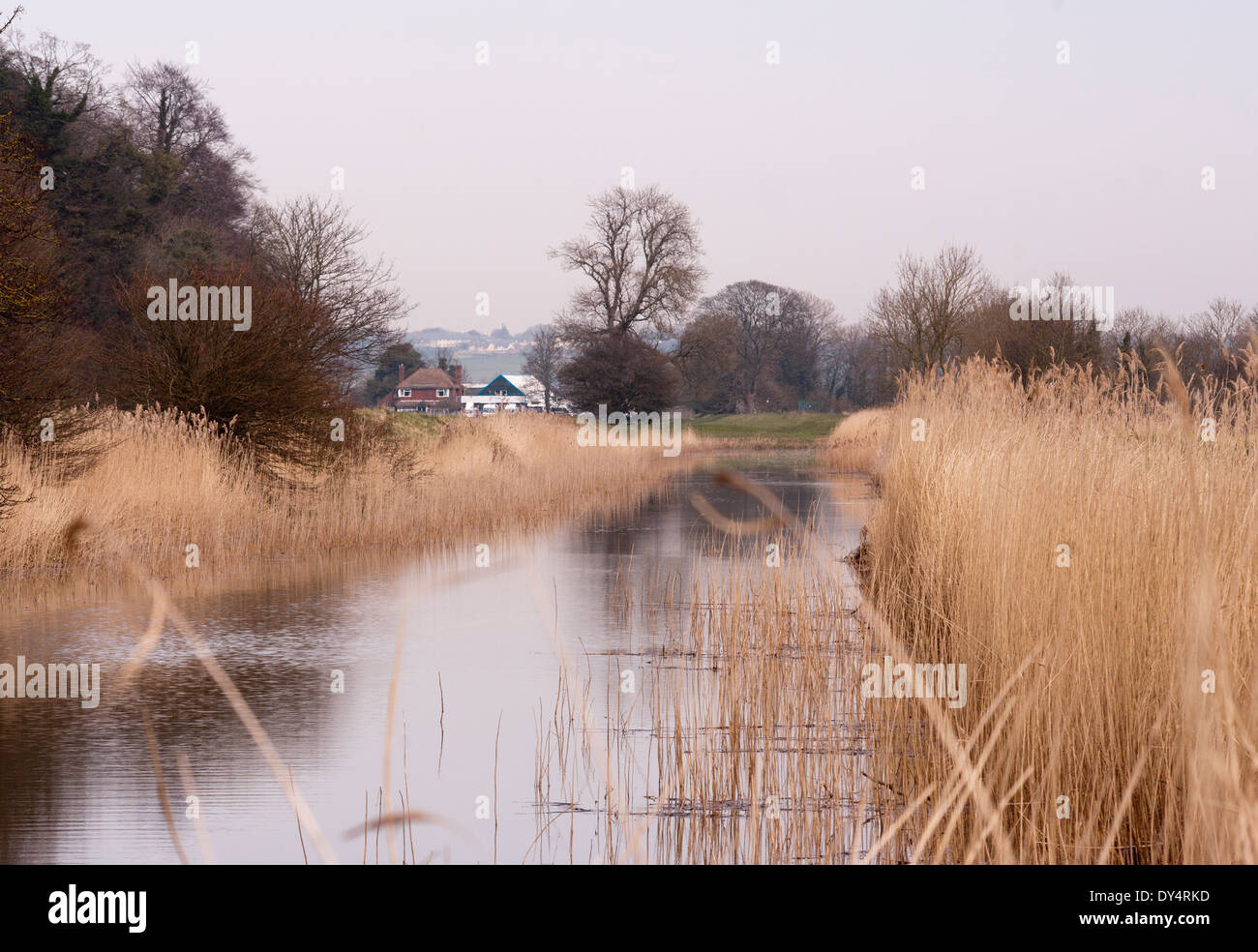 The Royal Military Canal at Winchelsea east Sussex England Stock Photo ...