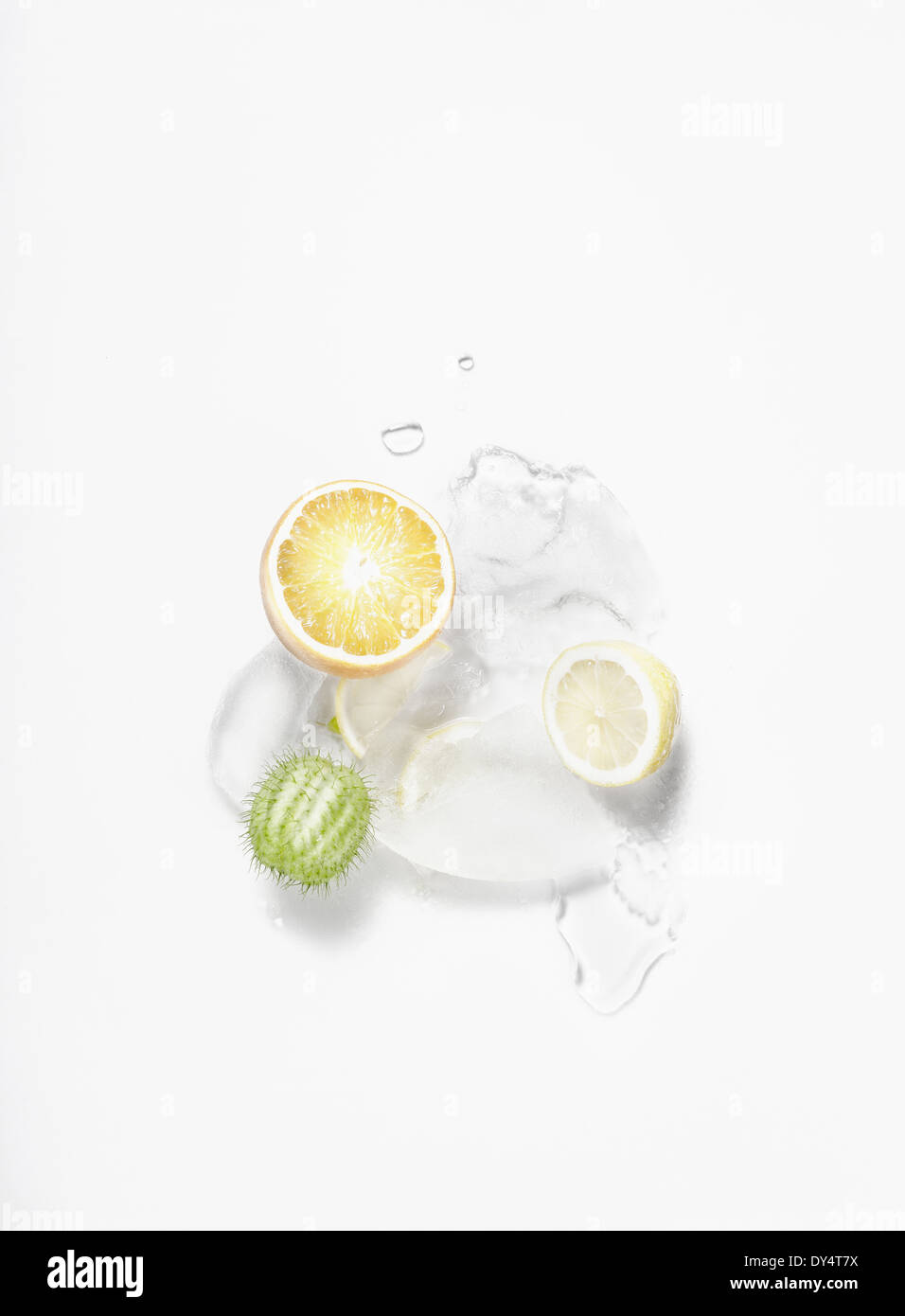 Group shot studio hi-res stock photography and images - Alamy