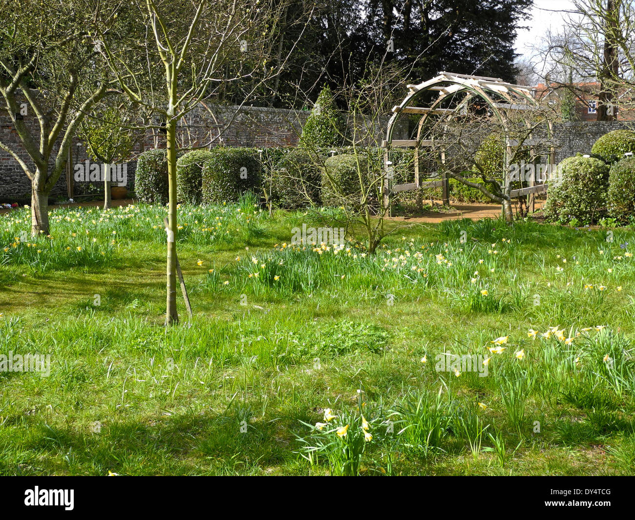 Physic gardens petersfield hi-res stock photography and images - Alamy