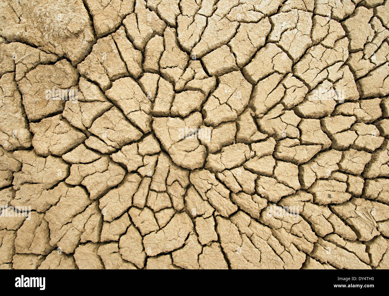 Dried up earth land dirt hi-res stock photography and images - Alamy