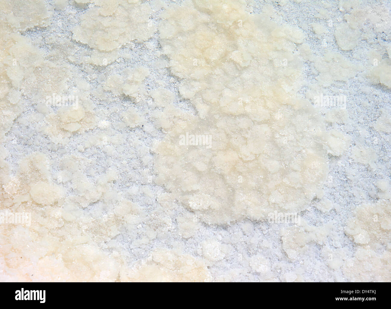Lake salt crystal hi-res stock photography and images - Alamy