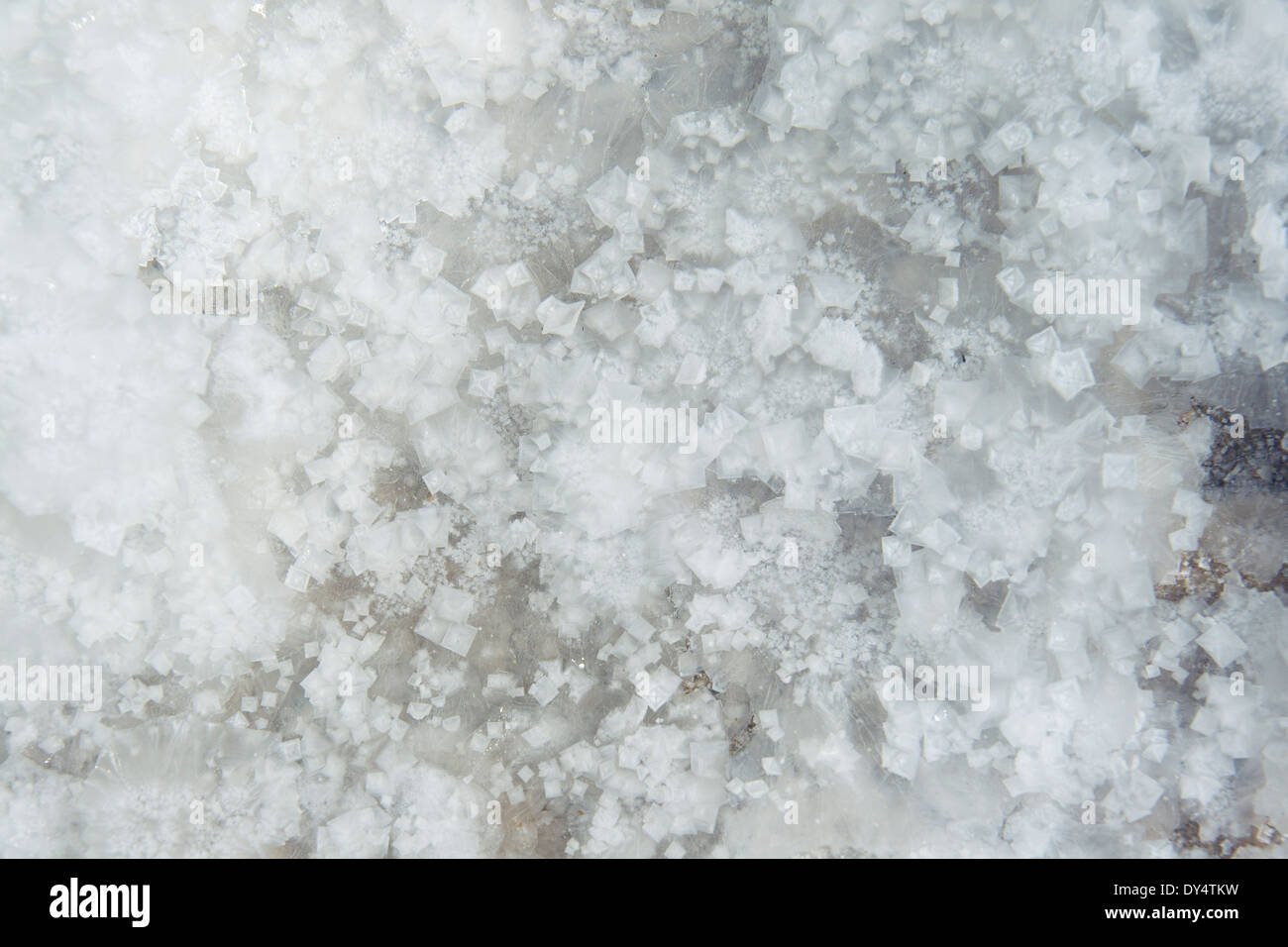 Texture of raw salt on a bottom of a salty lake Stock Photo - Alamy