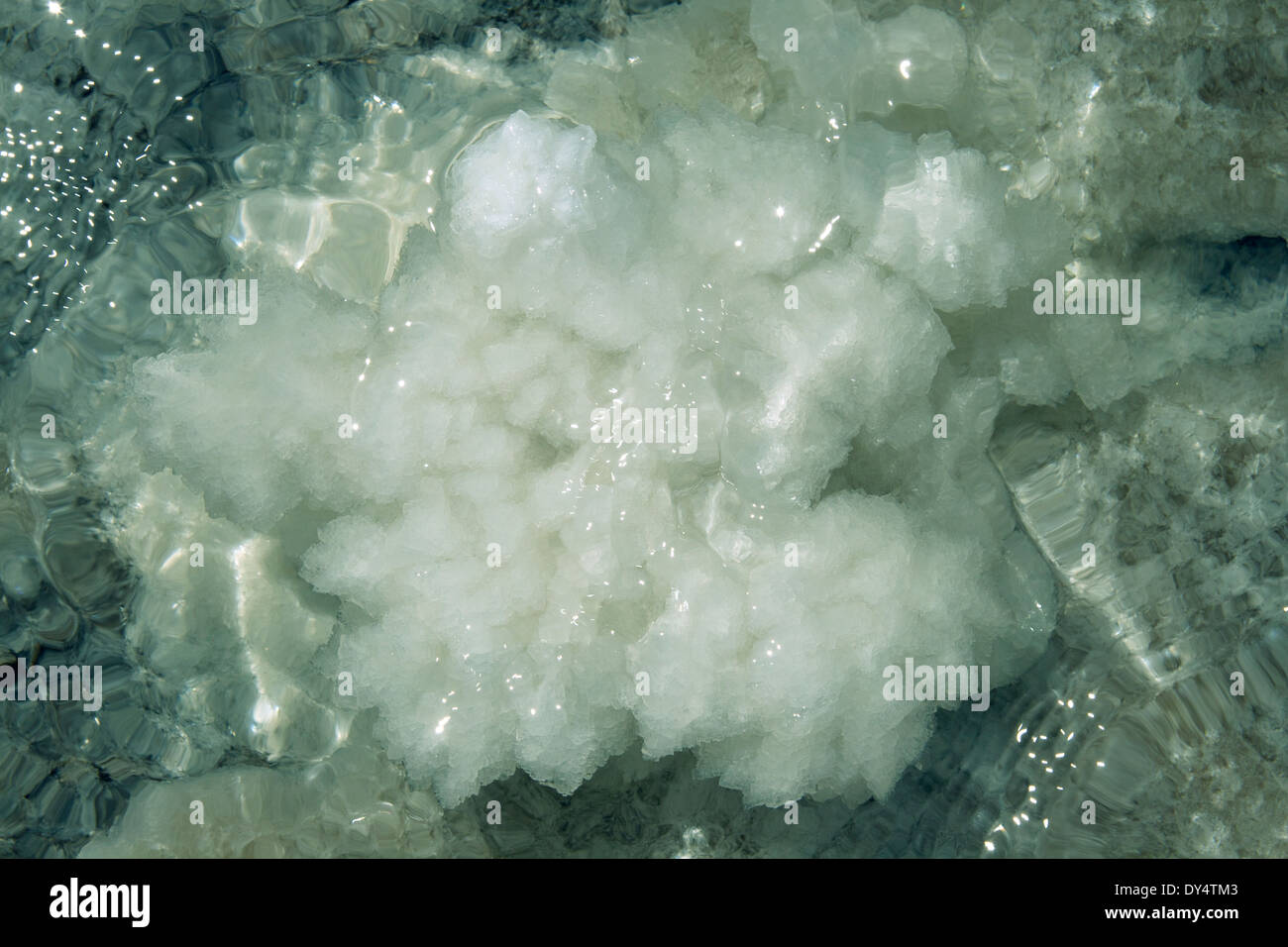 Texture of raw salt on a bottom of a salty lake Stock Photo - Alamy