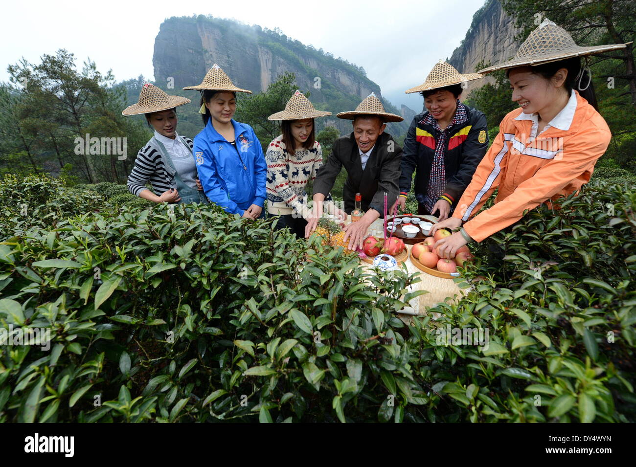 Tea garden fujian hi-res stock photography and images - Alamy