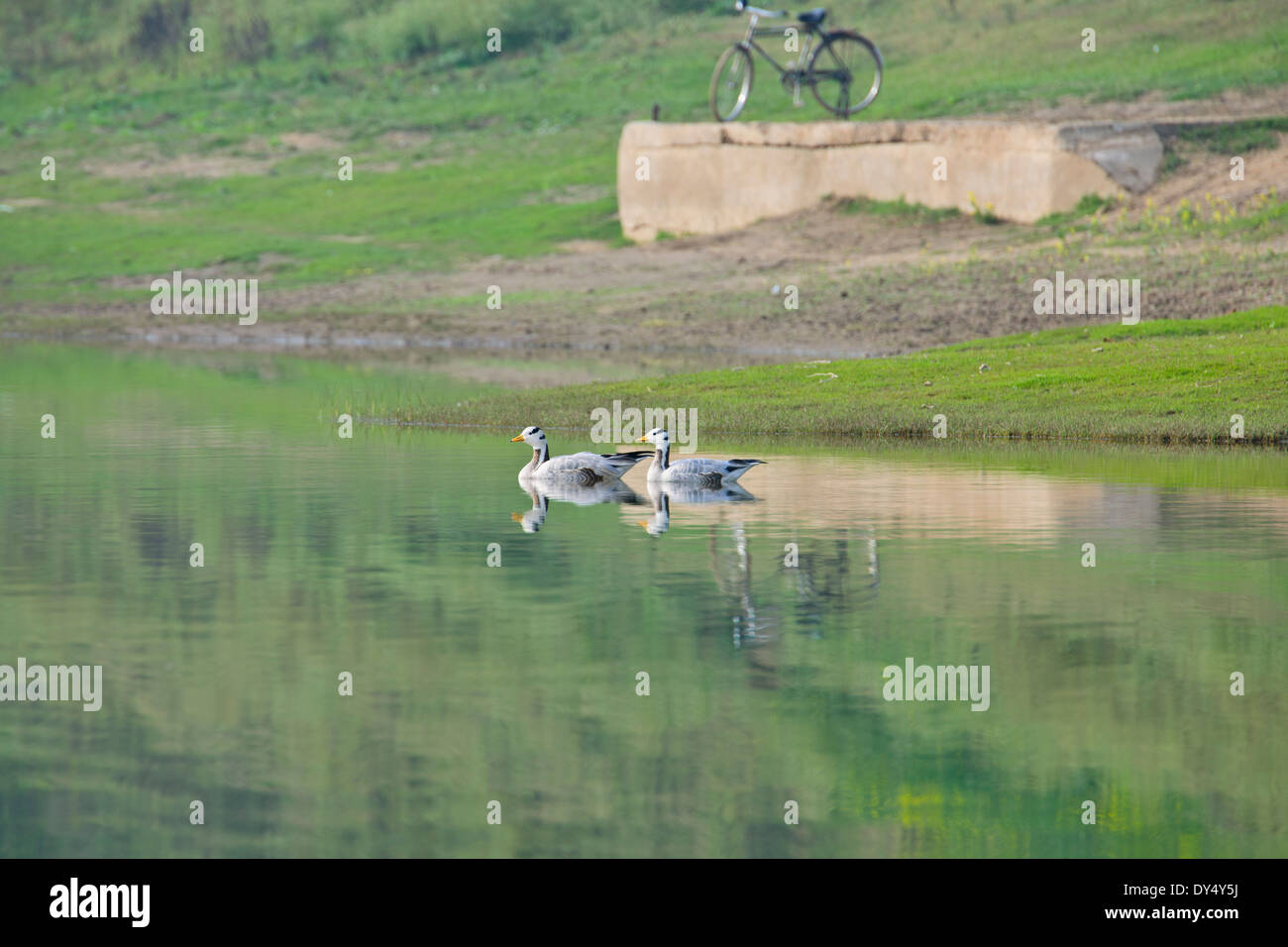 Tributaries Of Yamuna