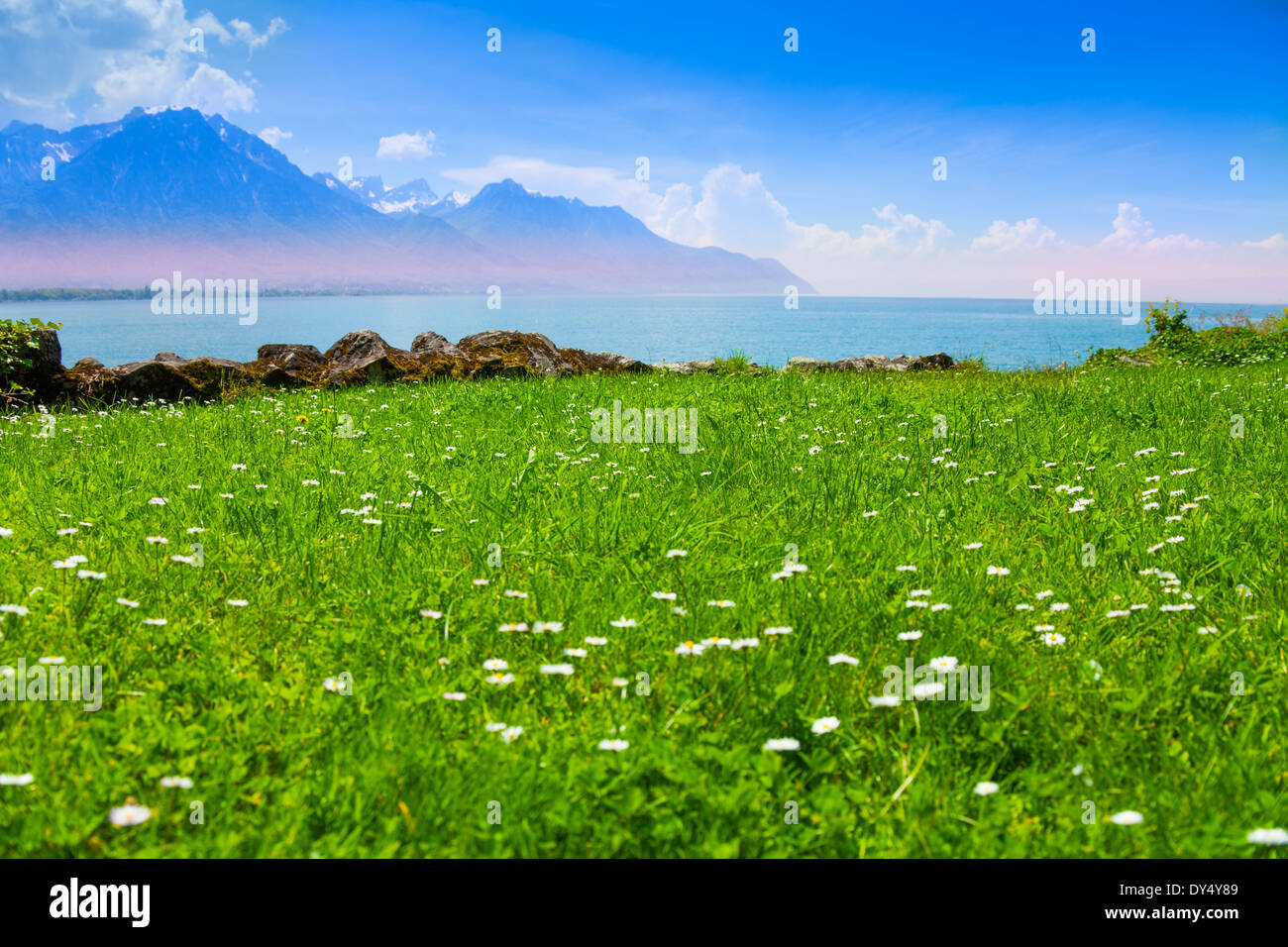 Magnificent Geneva lake near Alps Stock Photo - Alamy
