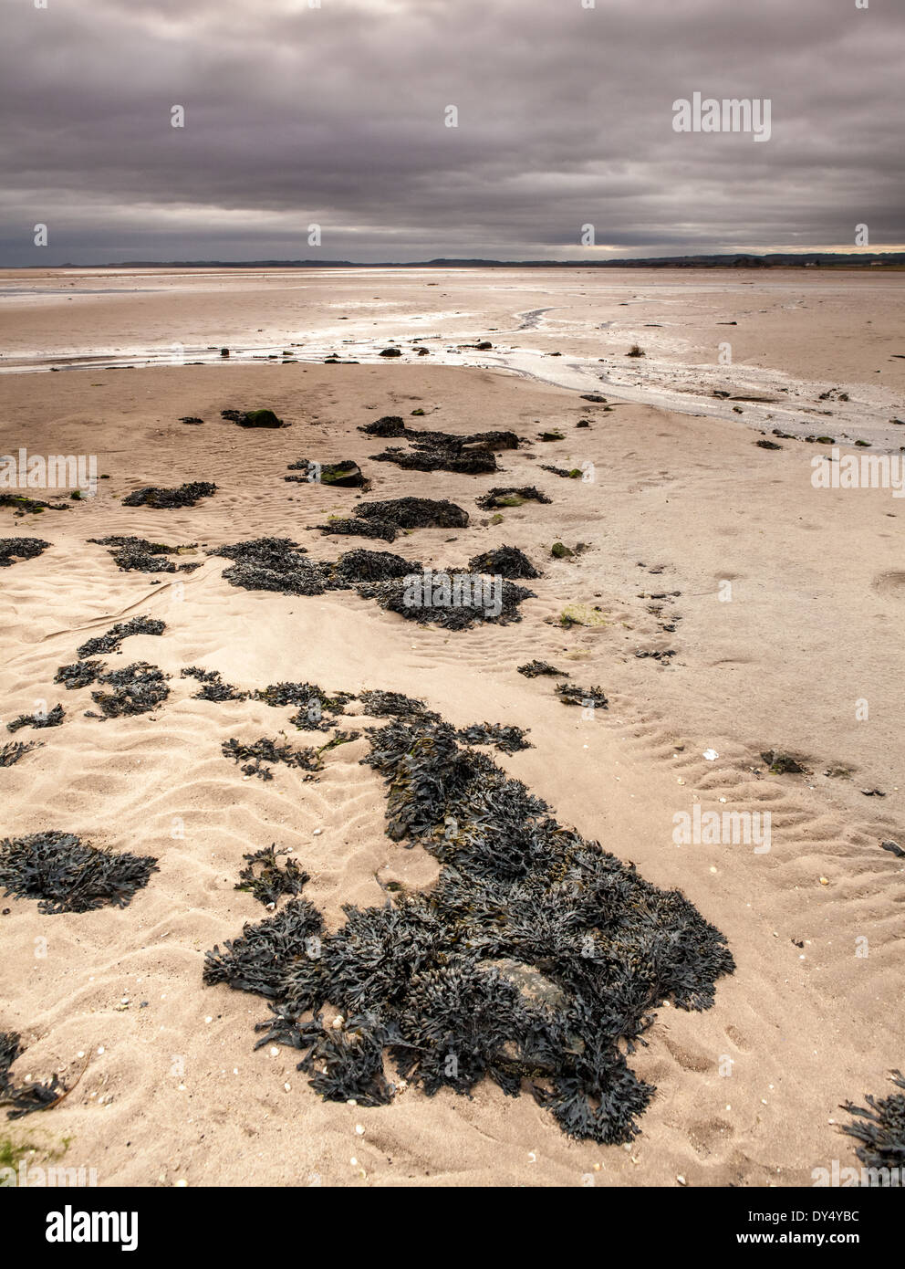 Holy Island Sands on Holy Island Lindisfarne, England Stock Photo - Alamy
