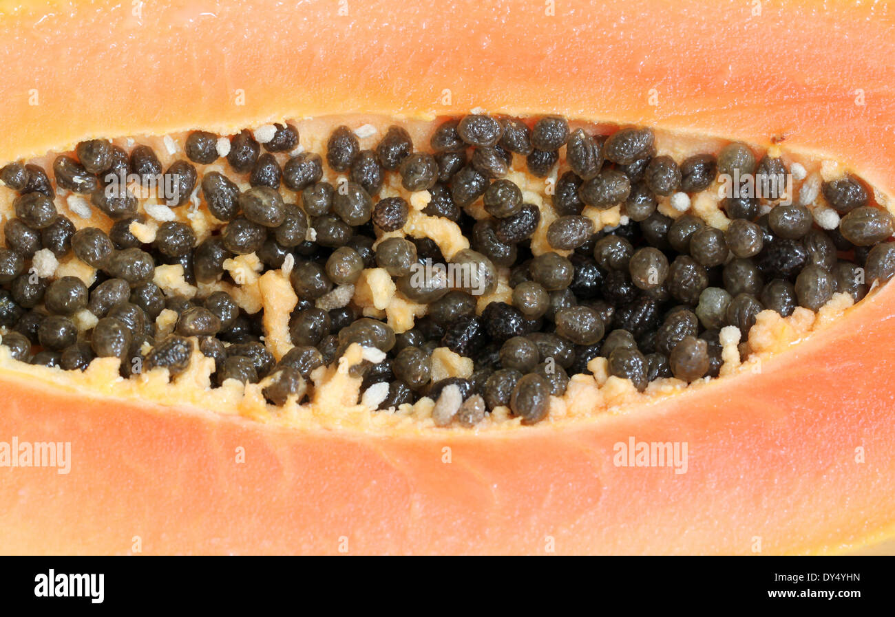 Papaya texture hi-res stock photography and images - Alamy