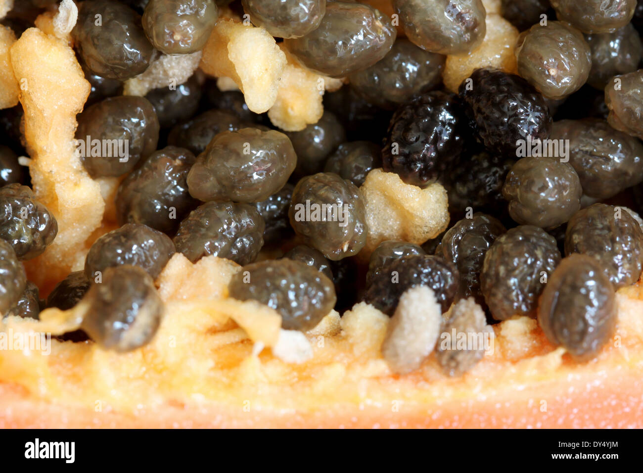 Papaya texture hi-res stock photography and images - Alamy