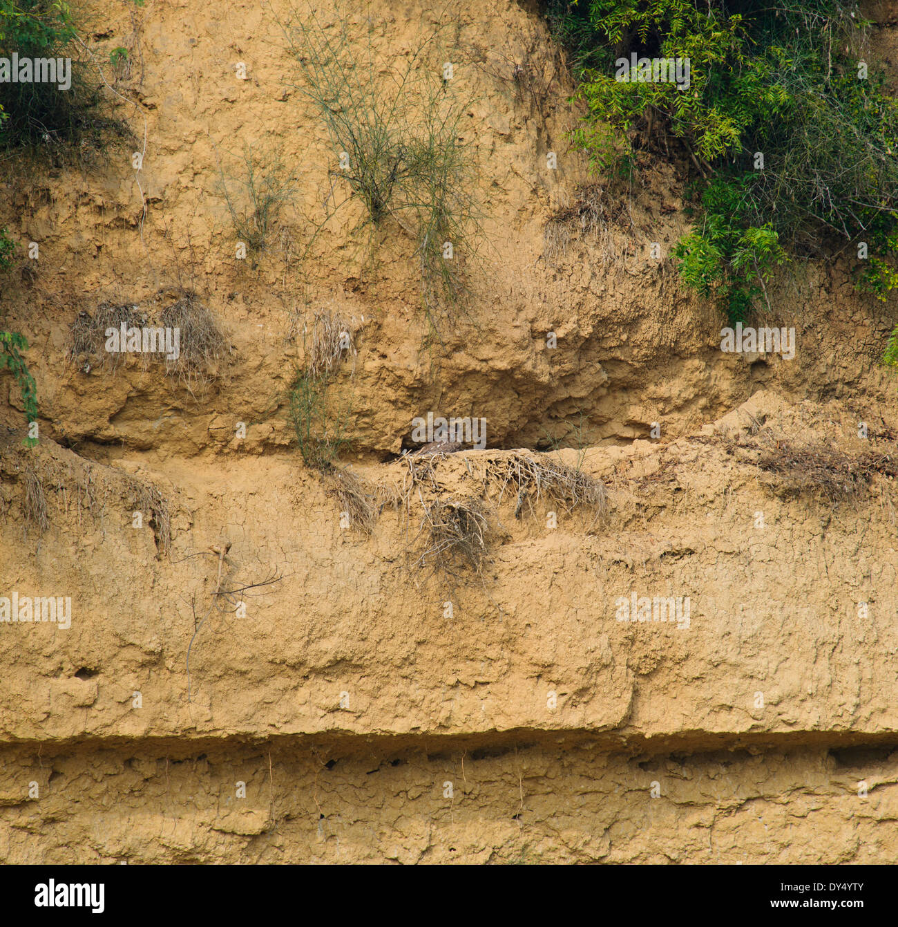 Chambal river tributary yamuna river hi-res stock photography and ...